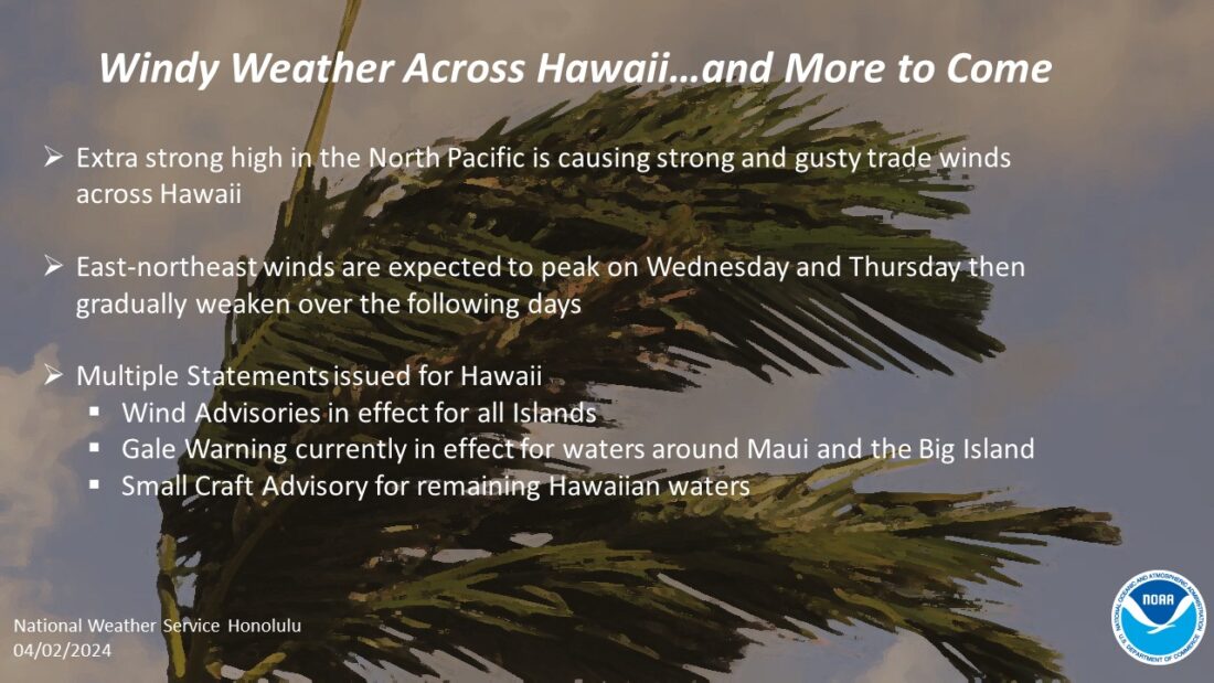 Heavy winds expected | News, Sports, Jobs - Lahaina News